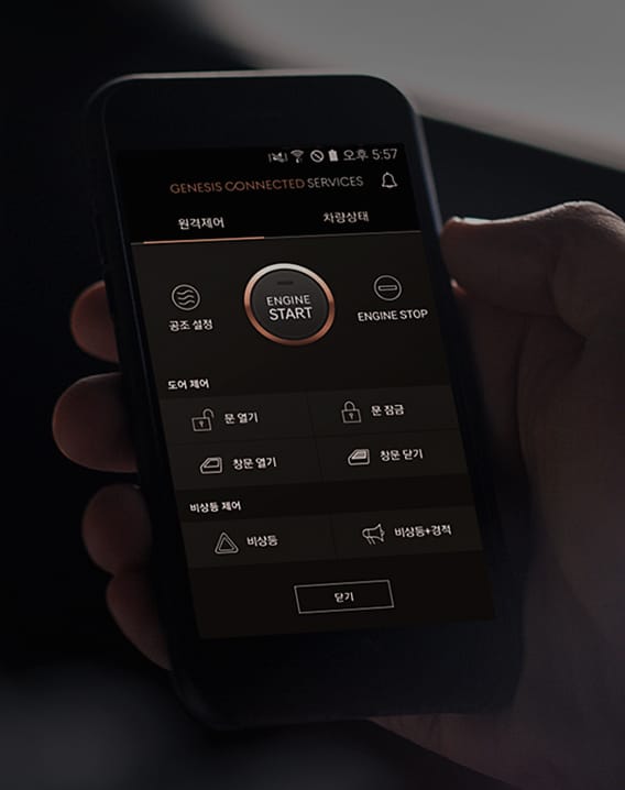Multimedia & Navigation Updates | Genesis Canada