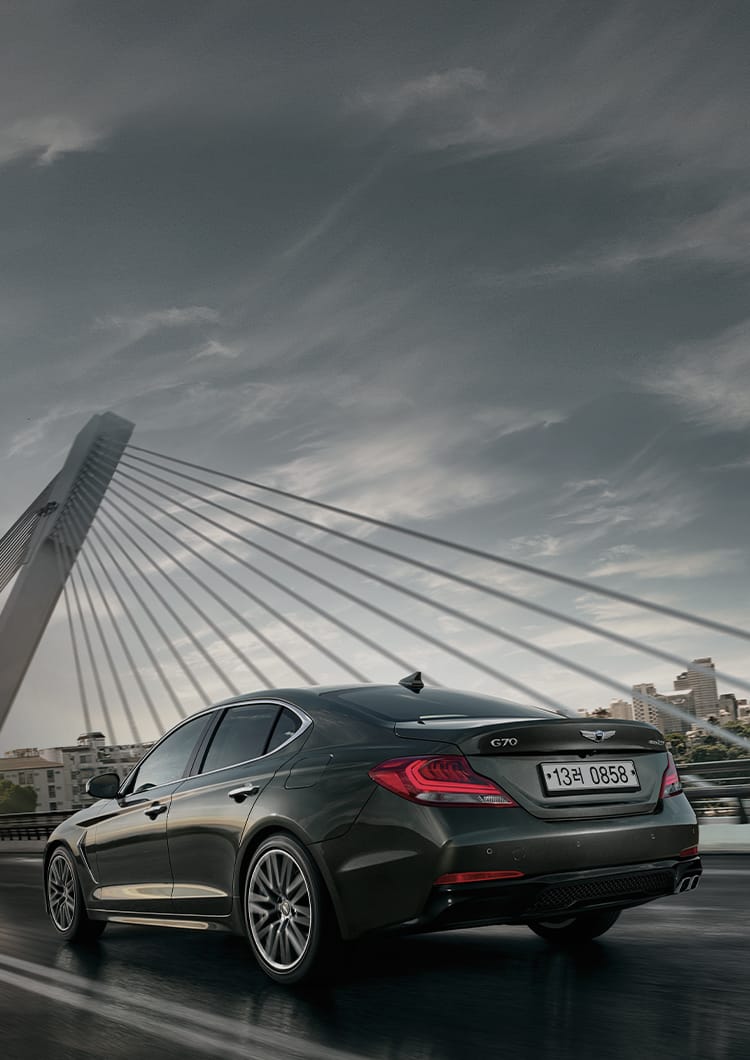 GENESIS Download Center - Download Catalogs & Price-List | GENESIS Korea