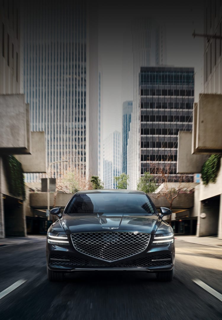 GENESIS Download Center - Download Catalogs & Price-List & Manual | GENESIS