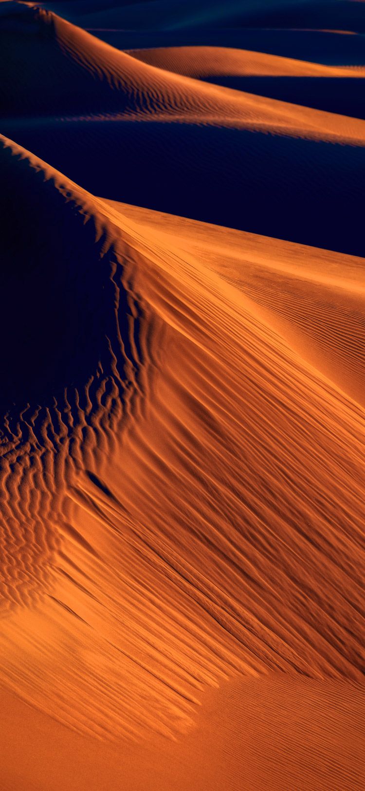 Genesis Magma - Model Introduction | GENESIS Worldwide